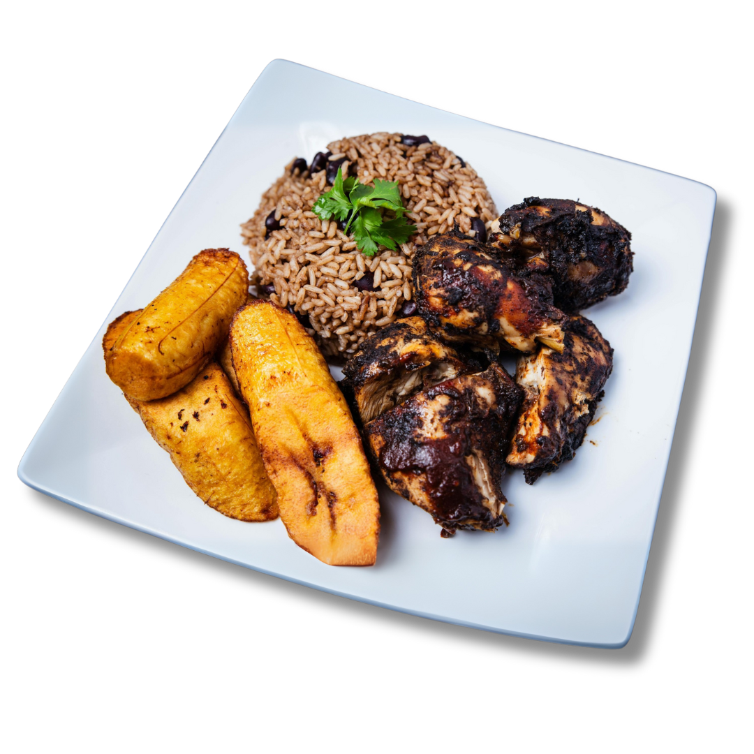 setaoasisdc – setaoasisdc website